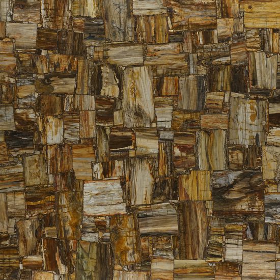 Petrified Wood – Polished 2cm / 1813 - Calia Stone